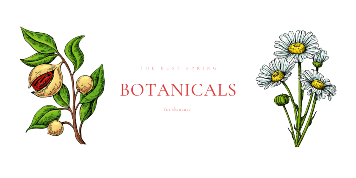 The best spring botanicals for skincare | Titanic Spa